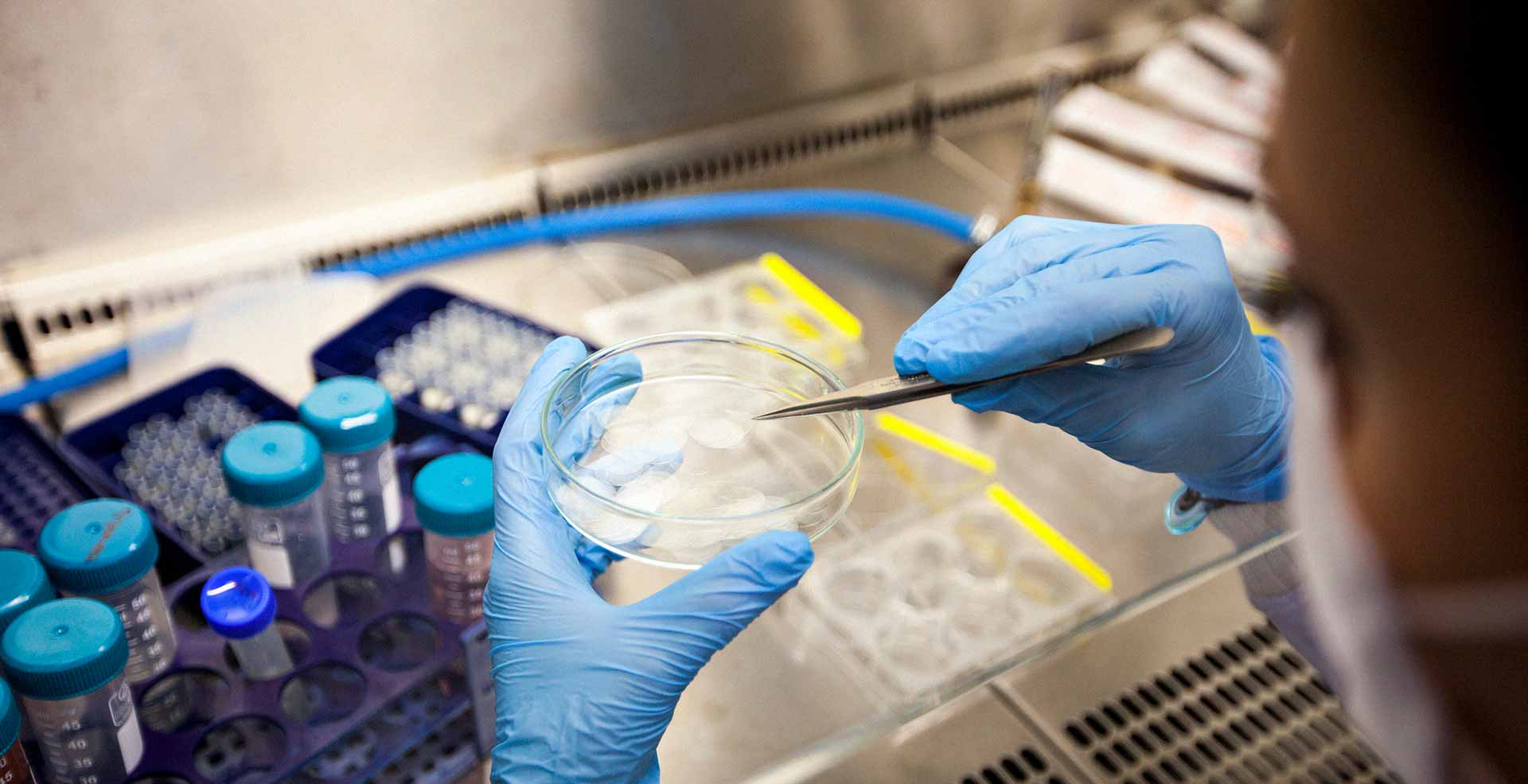 The Doctors Laboratory