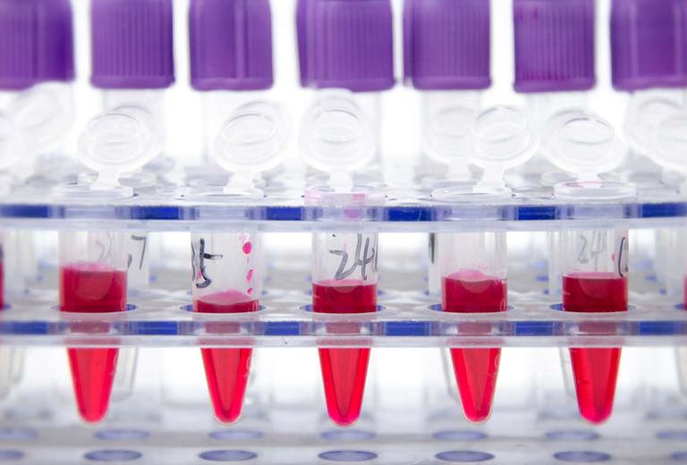 Home | The Doctors Laboratory